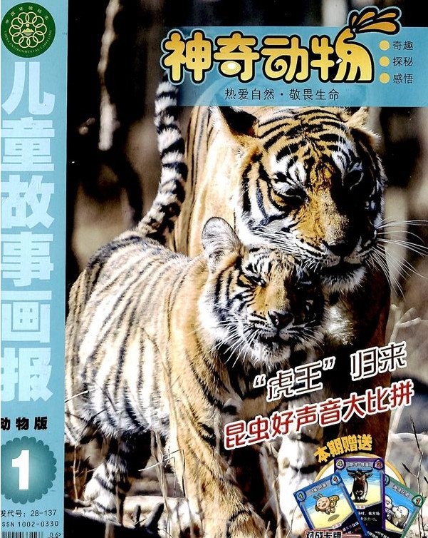 2022年07-12月 神奇动物.儿童故事画报 赠礼品满额每期包邮！