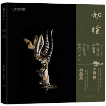 初瞳:我和我的野生动物朋友