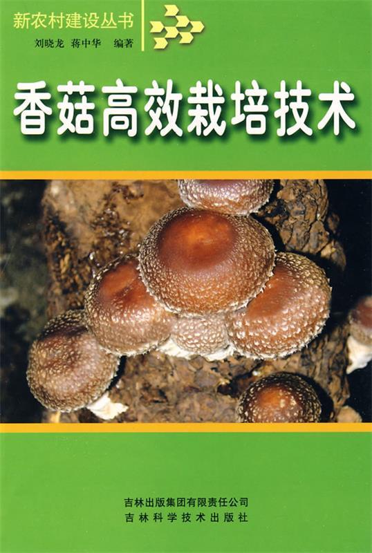 香菇高效栽培技术