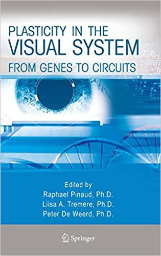 Plasticity in the Visual System
