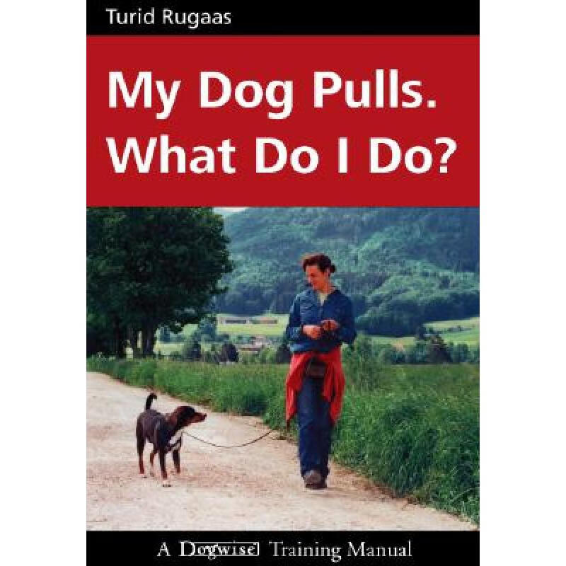 My Dog Pulls. What Do I Do?