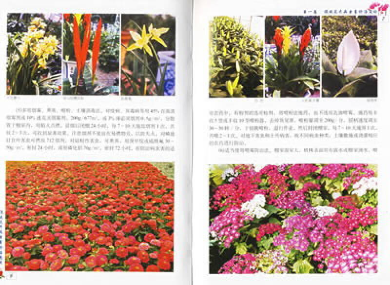 设施花卉病虫害诊治图说【好书】