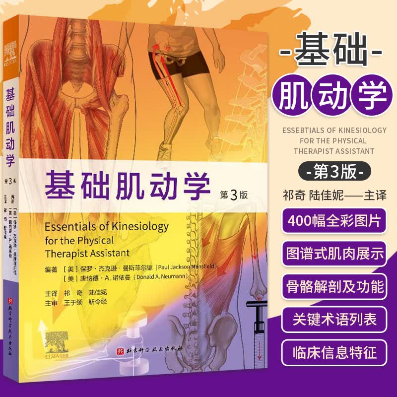 基础肌动学 第3三版肌肉骨骼系统的结构和功能保罗杰克逊曼斯菲尔德图谱肌动力学书 书籍筋膜解剖 医学书籍