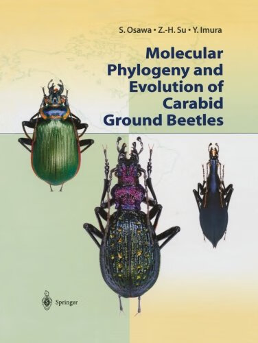 Molecular Phylogeny and Evolution of Carabid Ground Beetles