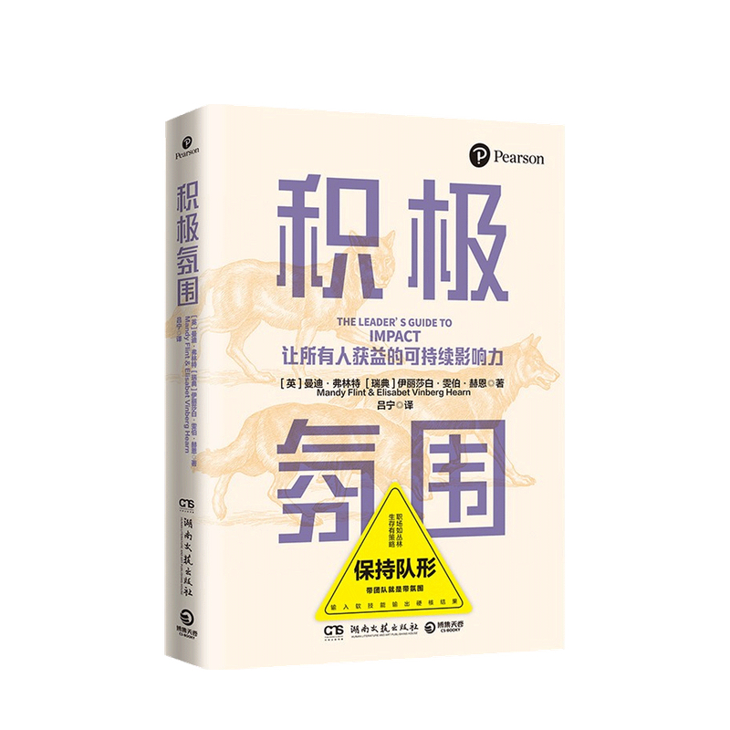 包邮 积极氛围 曼迪·弗林特 著