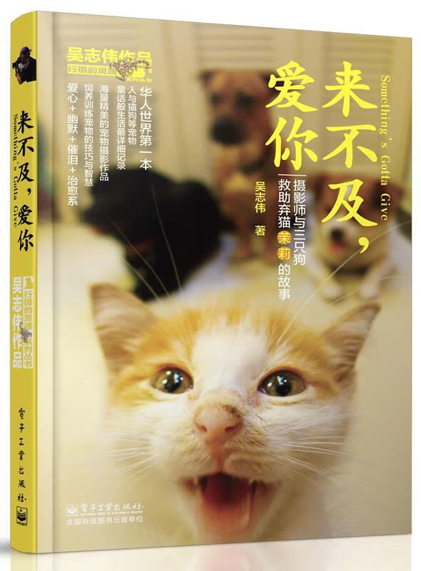 来不及，爱你【好书，下单速发】