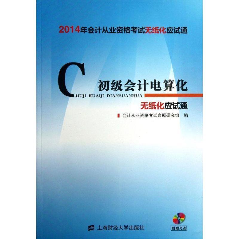 初级会计电算化：无纸化应试通