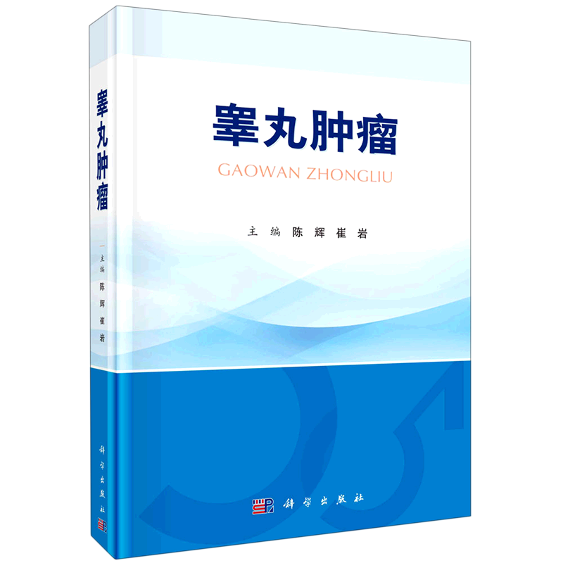 睾丸肿瘤(精)