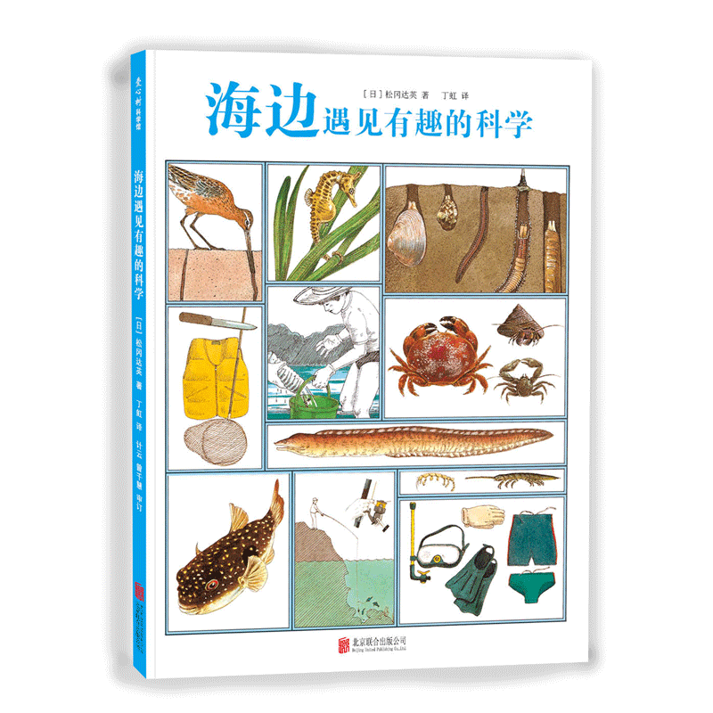 海边遇见有趣的科学松冈达英200种海洋生物科学认知绘本 日本学校图书馆协会选定图书 博物达人