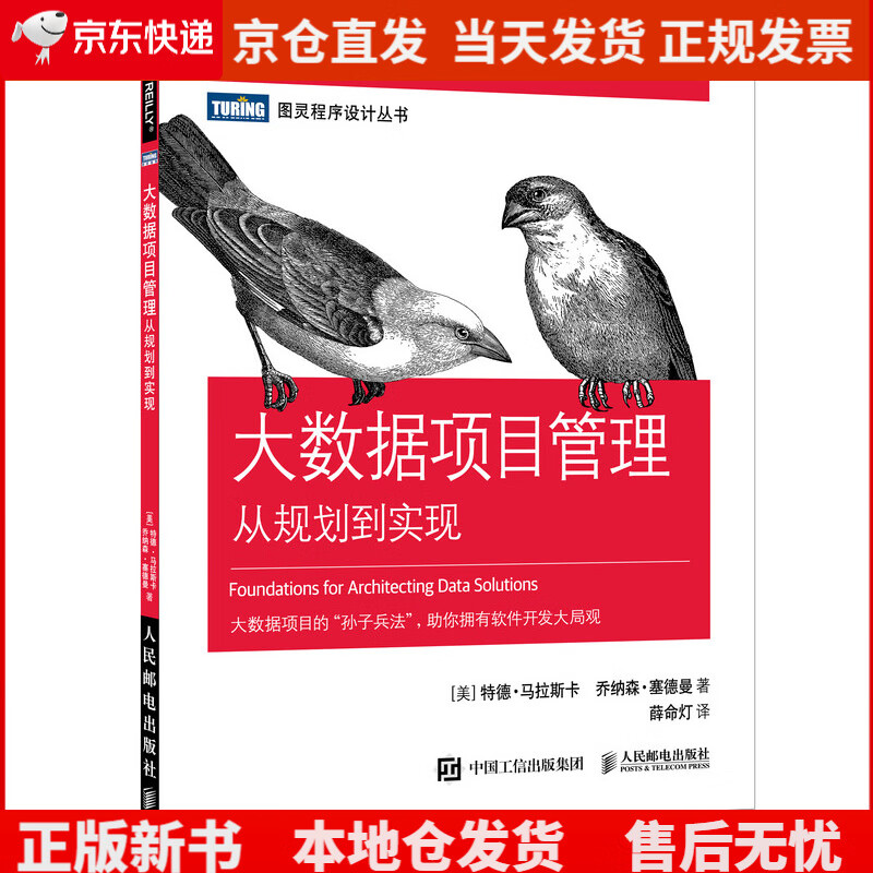 大数据项目管理 从规划到实现(图灵出品)《现货速发》，