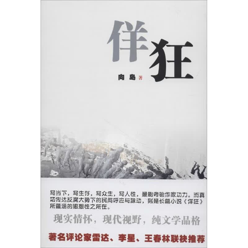 佯狂 向岛 著 小说/职场
