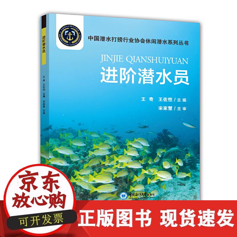【现货】进阶潜水员