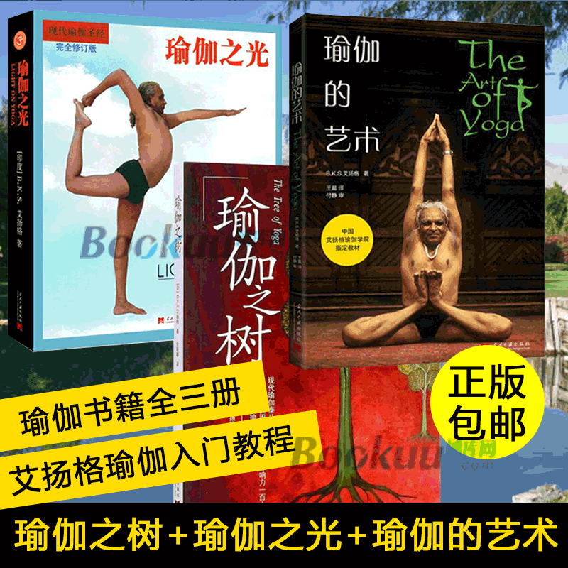 【立减】瑜伽之树+瑜伽之光+瑜伽的艺术 入门书籍