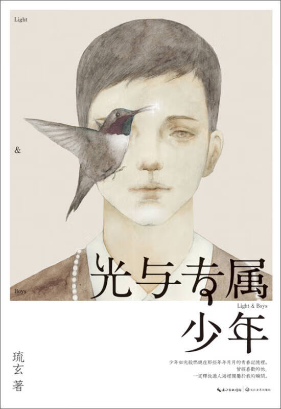 光与专属少年【好书】