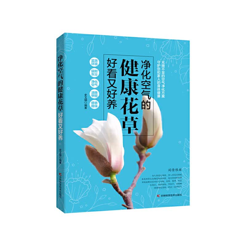 净化空气的健康花草好看又好养