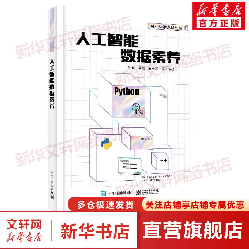 人工智能数据素养 图书