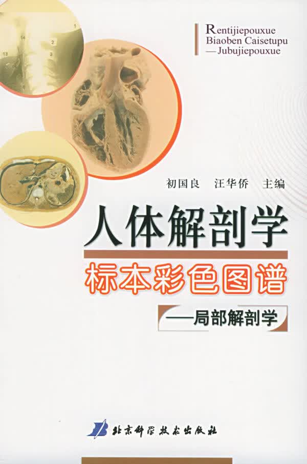 人体解剖学标本彩色图谱局部解剖学 初国良,汪华侨 主编 北京科学技术出版社