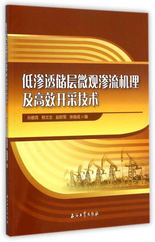 低渗透储层微观渗流机理及高效开采技术
