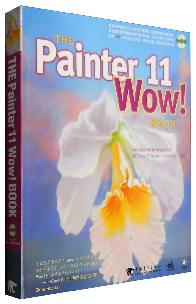 The painter 11 wow book【精选】