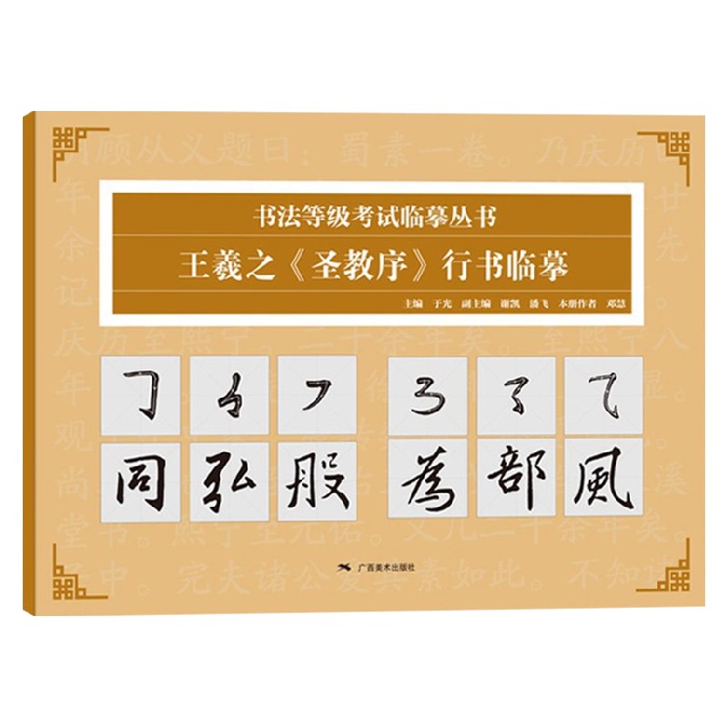 王羲之《圣教序》行书临摹 于光 著 书法