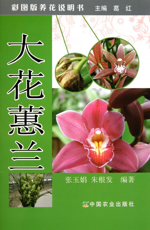 大花蕙兰/彩图版养花说明书