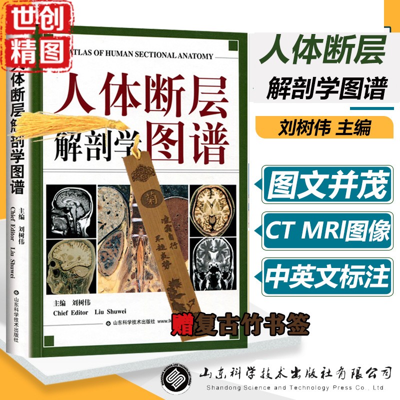 人体断层解剖学图谱 局部解剖学教程刘树伟CT MRI男性妇性盆部头部颈部胸部腹部断层解刨影像彩色 标准图像医学书籍 西医学书籍山东科学技术出版社全彩
