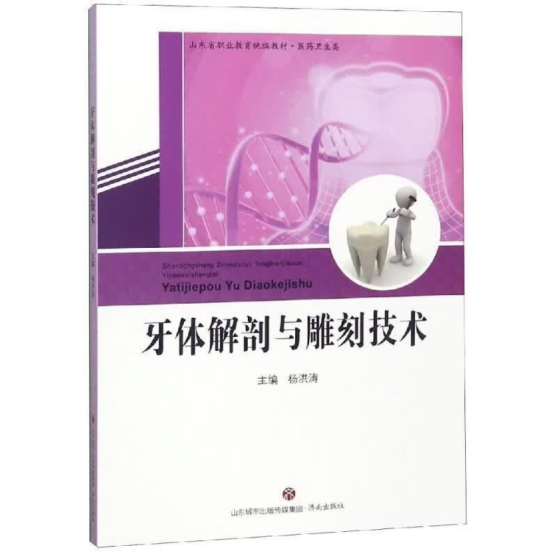牙体解剖与 杨洪涛