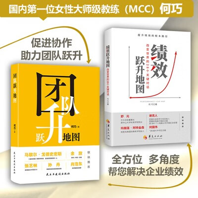 绩效跃升地图+团队跃升地图 套装2册 何巧 著 跃升系列图书