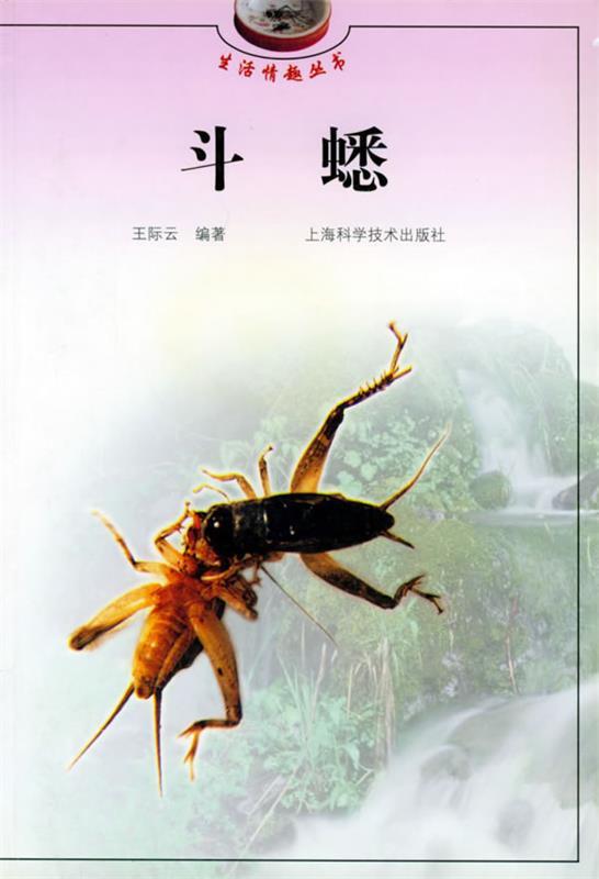 斗蟋 王际云 编著【书】