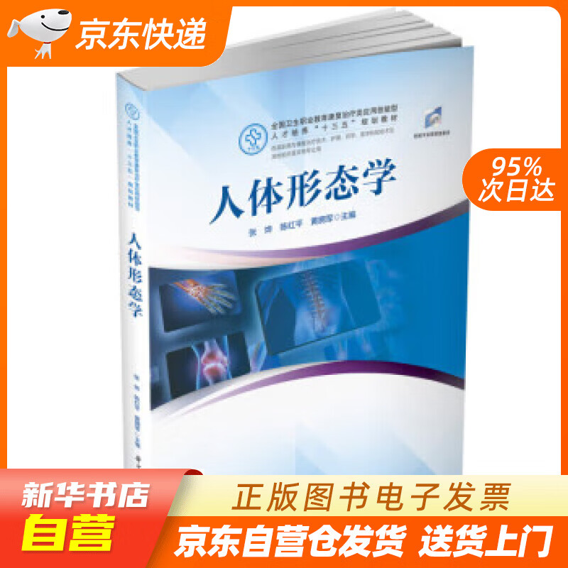 人体形态学 张烨,陈红平,黄拥军 华中科技大学出版社