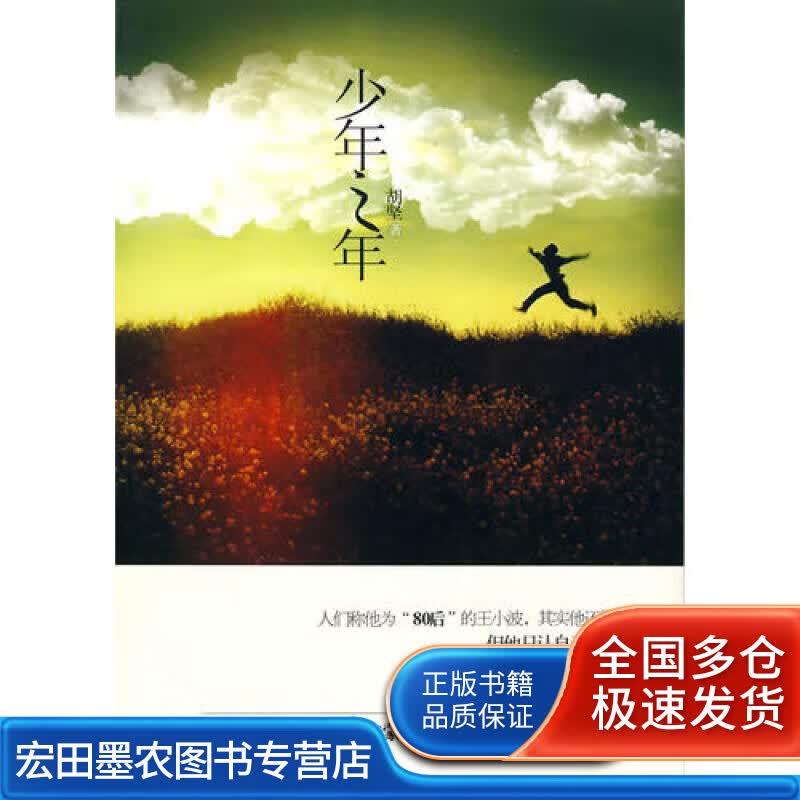 少年之年【好书】