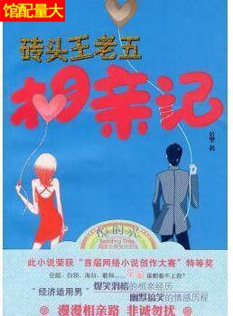 砖头王老五相亲记 公里著 江苏文艺出版社