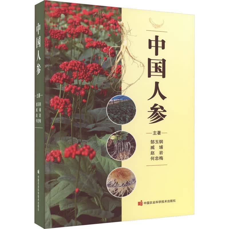 中国人参 郜玉钢 等 书籍 图书