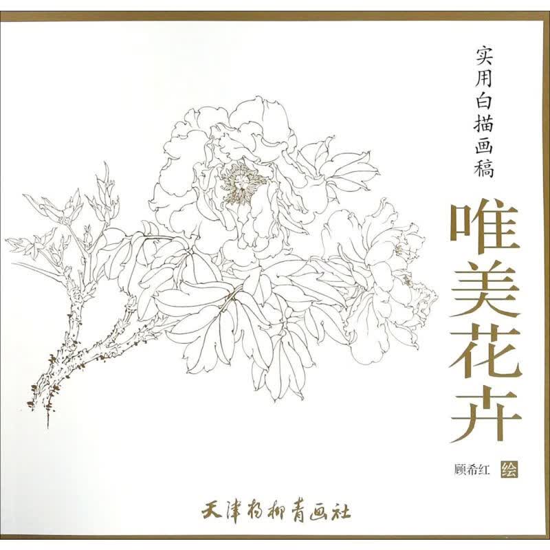 唯美花卉(实用白描画稿)