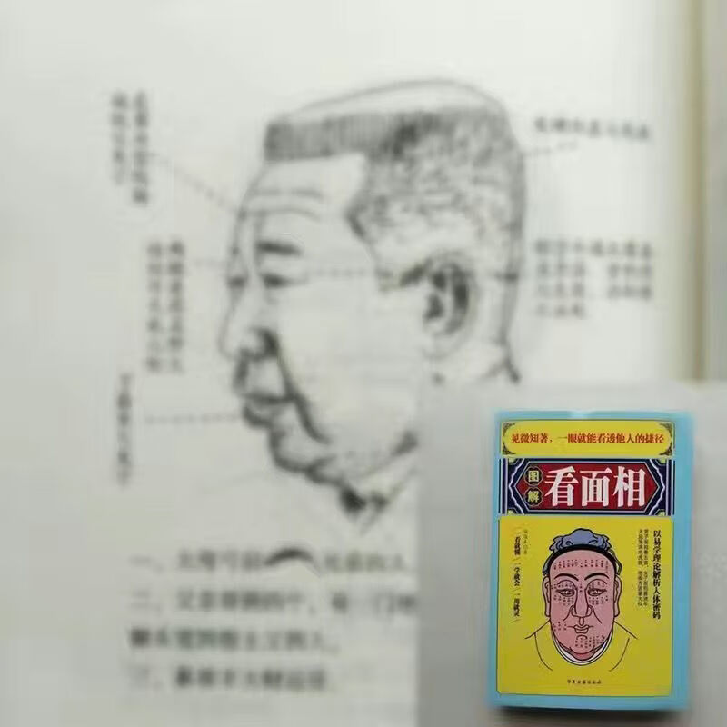 图解相书男女相学大全手相面风水416页书籍给你 单本 看面