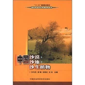 中国沙漠。沙地。沙生植物