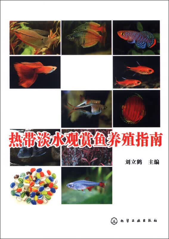 热带淡水观赏鱼养殖指南