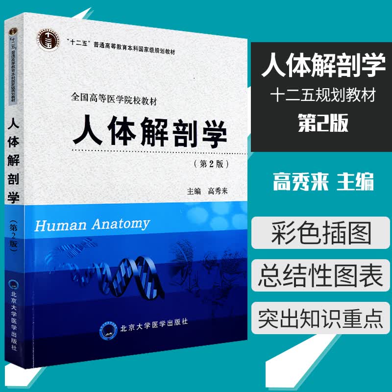 包邮 人体解剖学 第2版 普通高等教育 十二五规划教材全国高等医学院校教材 高秀来 北京大学医学出版社