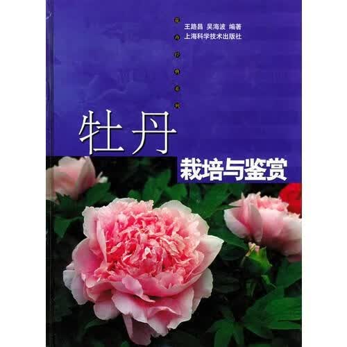 牡丹栽培与鉴赏——花卉经典系列