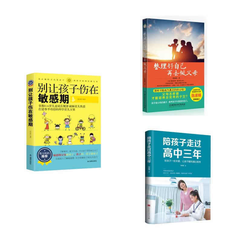陪孩子走过高中三年 给孩子一些关爱+别让孩子伤在敏感期 科学育儿方案+整理好自己 再去做父母 养育孩子先整理好自己  （套装全3册）