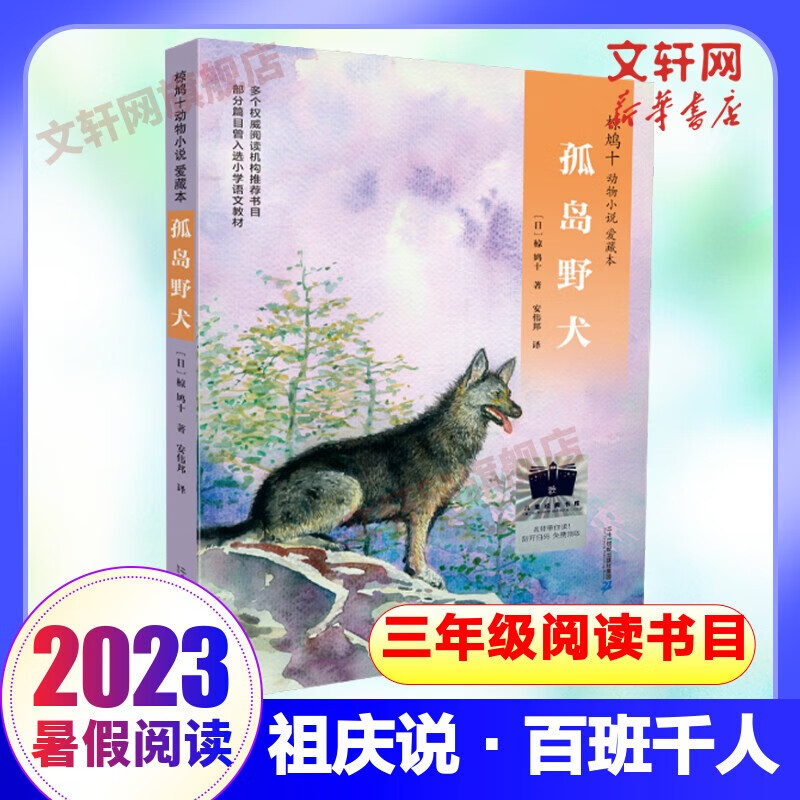 【现货速发 多册自选】2023年祖庆说百班千人三年级 全国小学生暑假阅读课外书 遥远的信号+外婆变成了麻猫+了不起的灰灰+大盗奶奶的完美冒险+感动星+孤岛野犬+贾里小时候+隐形树精灵 【单本】孤岛野犬