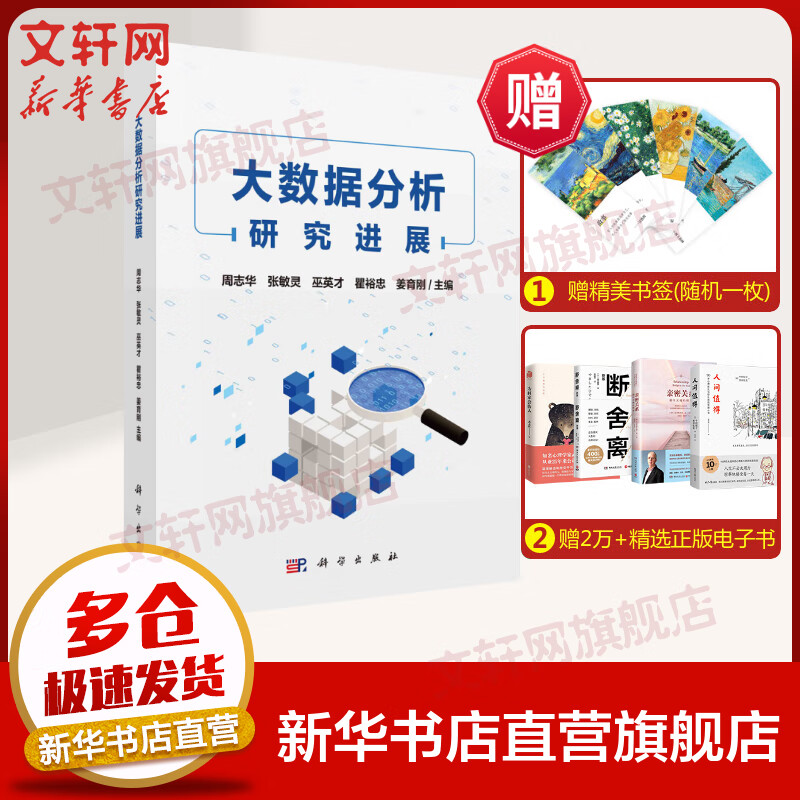 大数据分析研究进展 图书