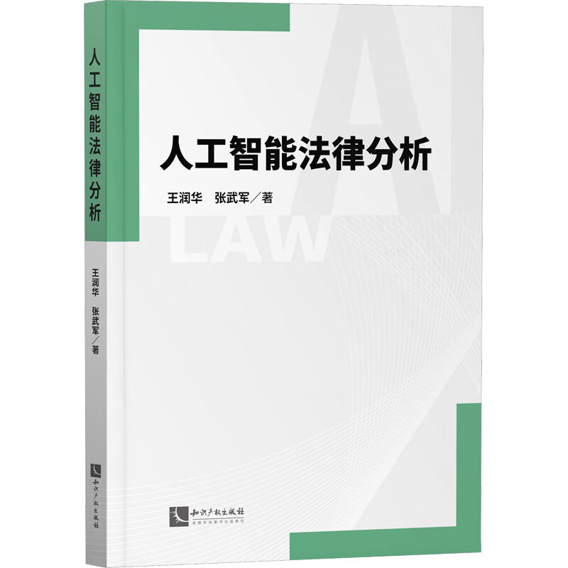 人工智能法律分析 图书