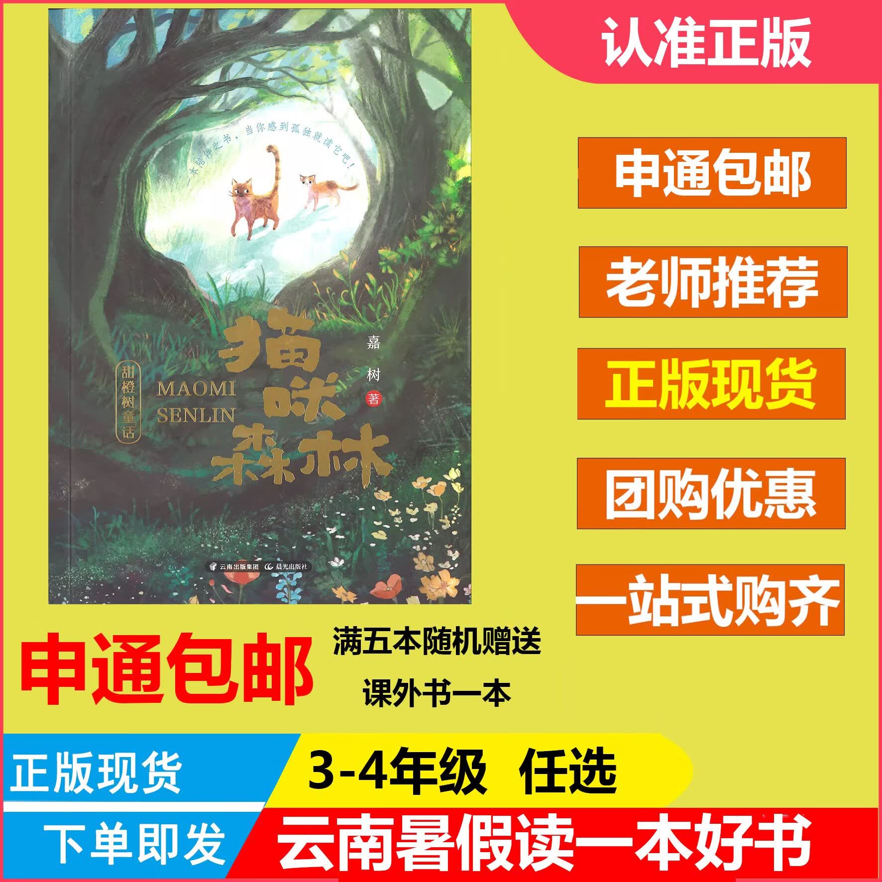 2023暑假读一本好书3-4年级 猫咪森林 嘉树 著 彩色现货 猫咪森林