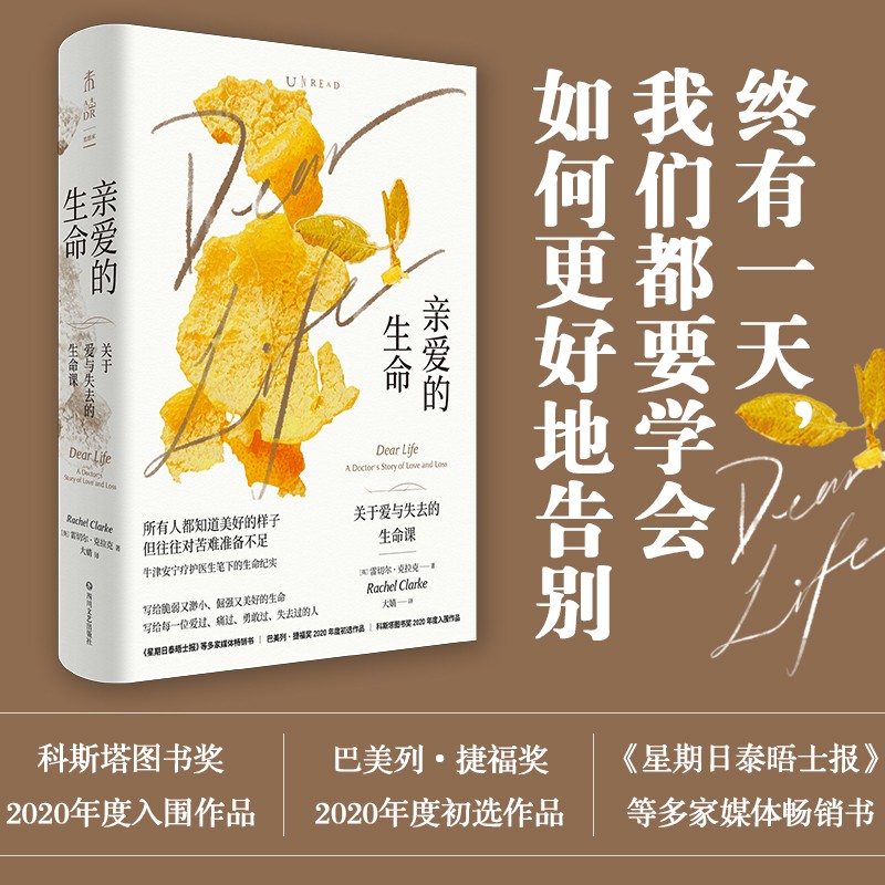 亲爱的生命：关于爱与失去的生命课