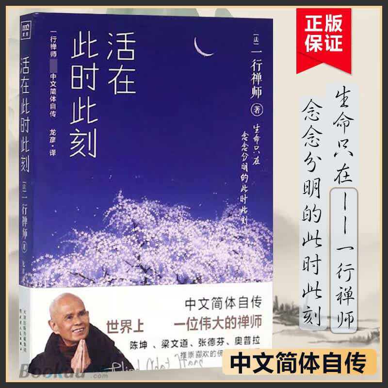 活在此时此刻一行禅师修行手记一本教你活出生命意义的灵性之书讲述一行禅师真实的生活经历心灵励志
