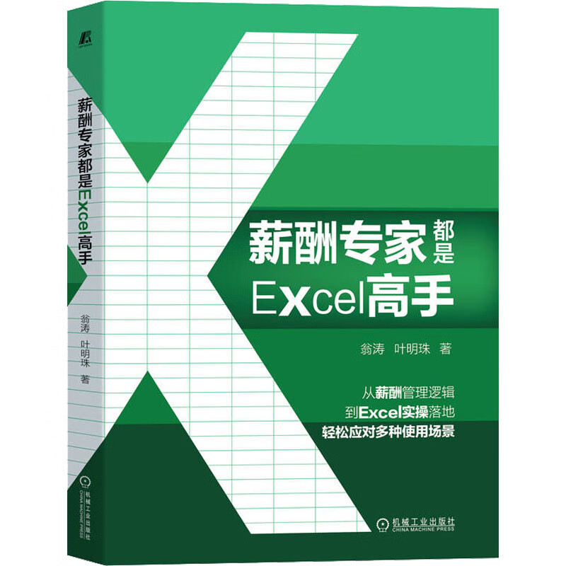 薪酬专家都是Excel高手 翁涛,叶明珠 书籍 图书