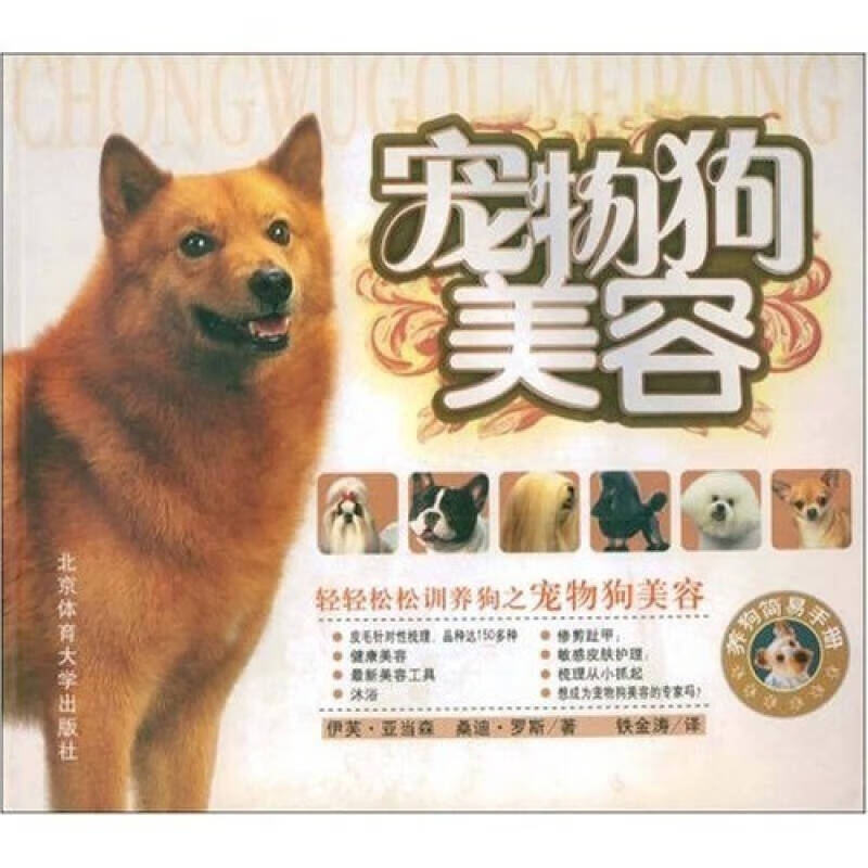 宠物狗美容【特惠】