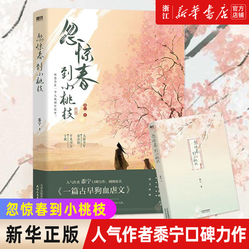 【旗舰店官网】 忽惊春到小桃枝 原名 一篇古早狗血虐文 黍宁著 口碑力作古风青春言情小说