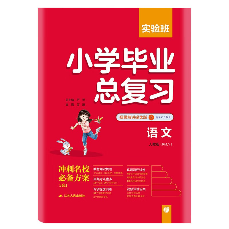 实验班小学毕业总复习 语文 小升初考试六年级升学知识大全备考2023